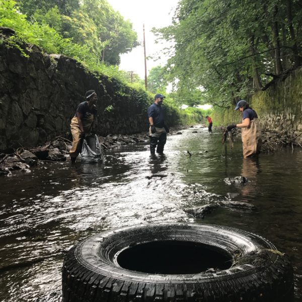 Environmental Ed Archives - Scenic Hudson