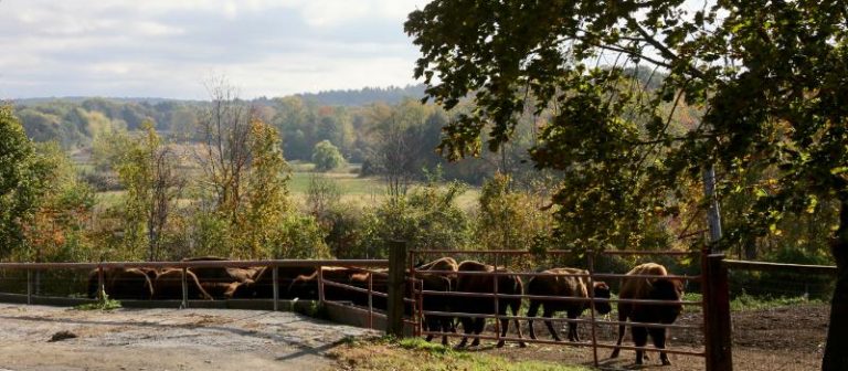 GEM Farm (Schodack, Rensselaer County) - Scenic Hudson