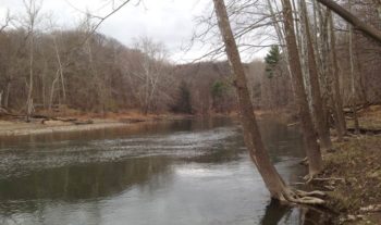Catskill Creek (Catskill, Greene County) - Scenic Hudson