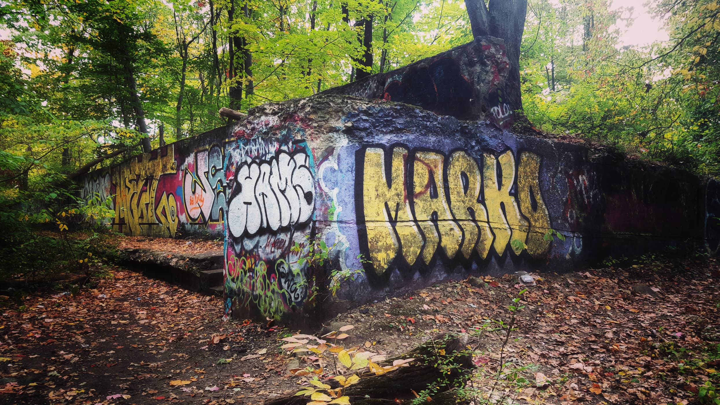 Camp Bluefields Ruins — Blauvelt State Park - Scenic Hudson