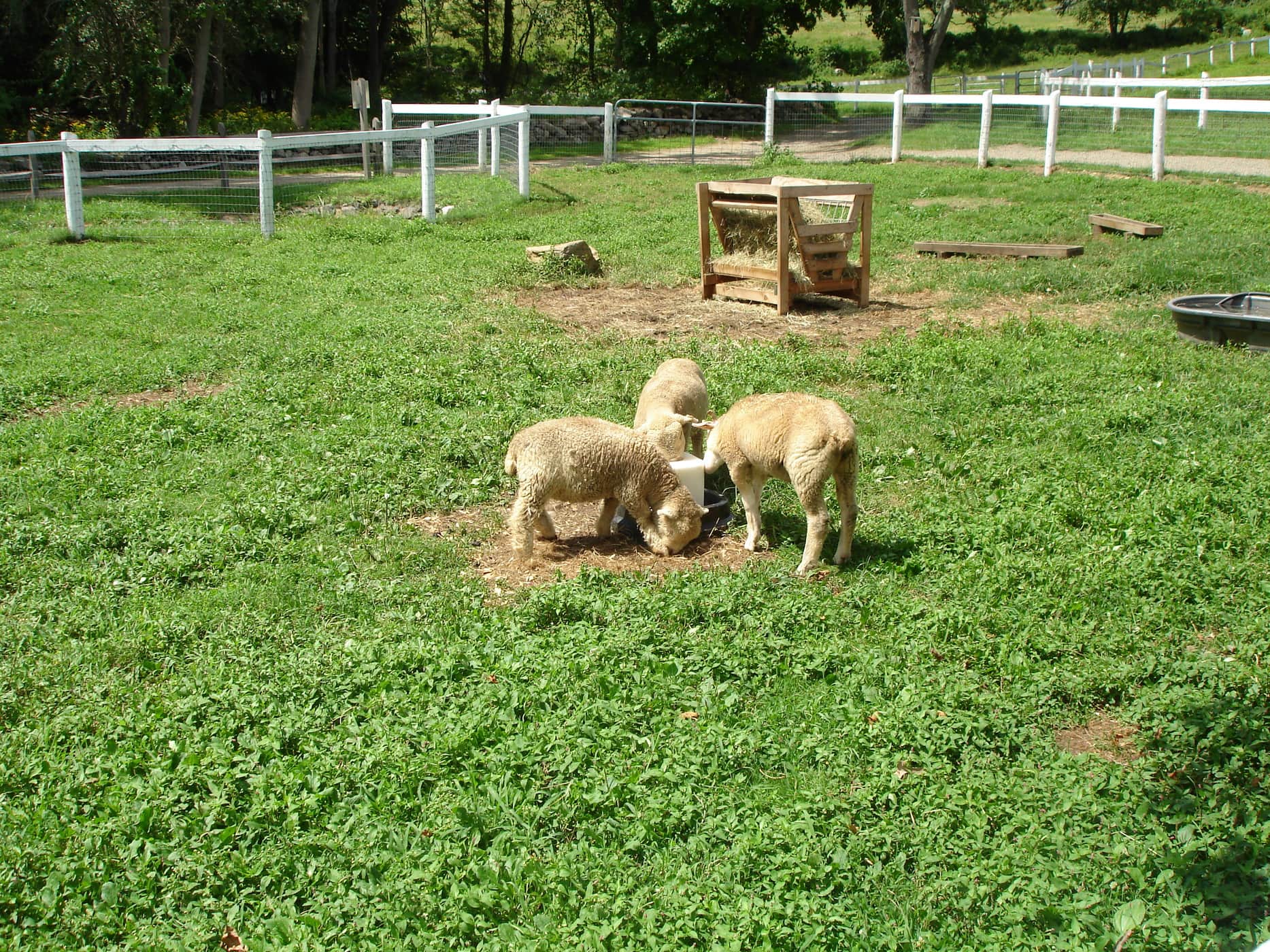 Muscoot Farm - Scenic Hudson