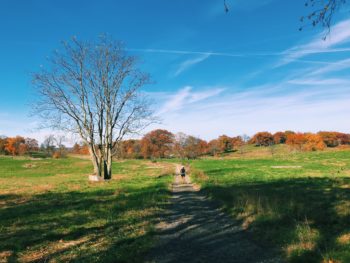 10 Top Fall-Foliage Hot Spots in the Hudson Valley - Scenic Hudson
