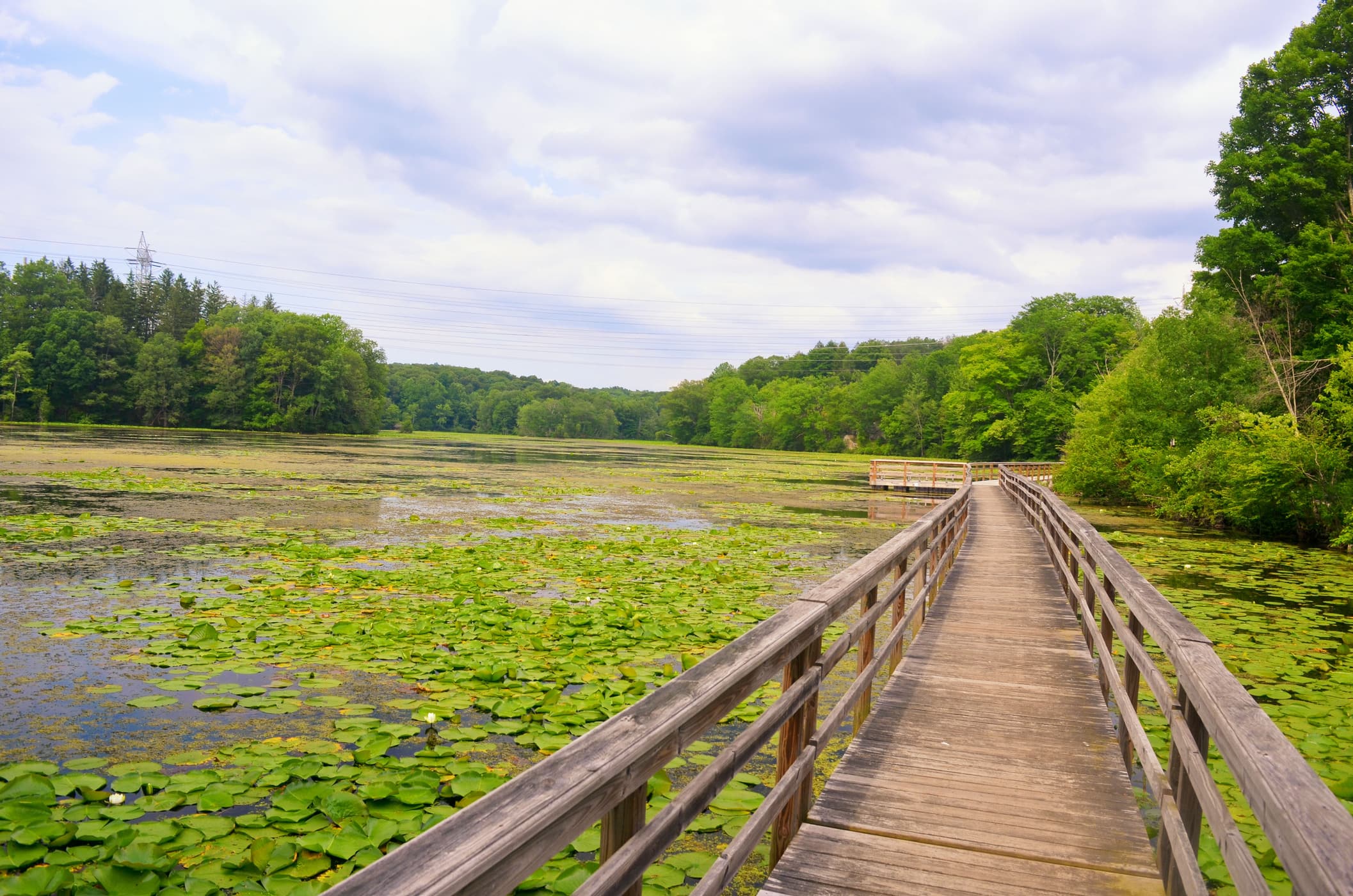 Teatown Lake Reservation - Scenic Hudson
