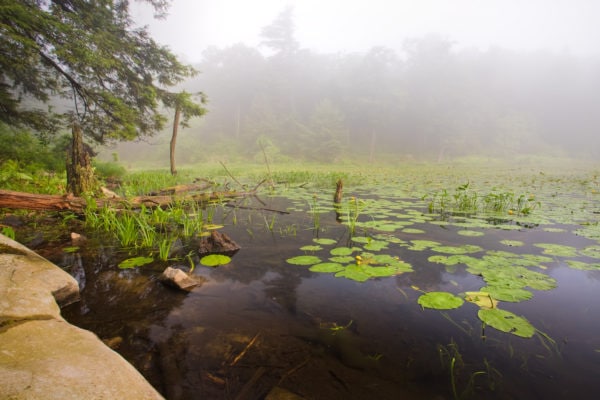 Walkway Loop Trail - Scenic Hudson