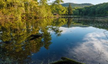 Camp Addisone Boyce (Stony Point, Rockland County) - Scenic Hudson