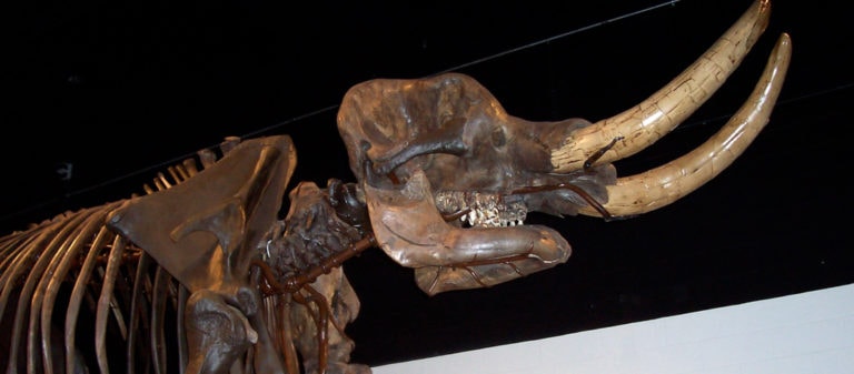 The Mastodon's Return - Scenic Hudson