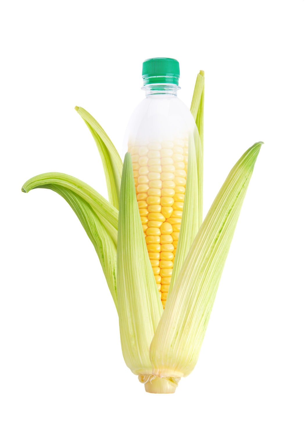 Bioplastics as a Climate Solution - Scenic Hudson