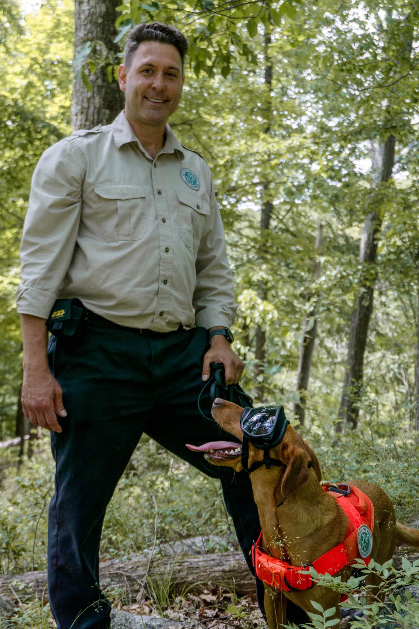 Hounding Out Invasive Species in the Hudson Valley - Scenic Hudson