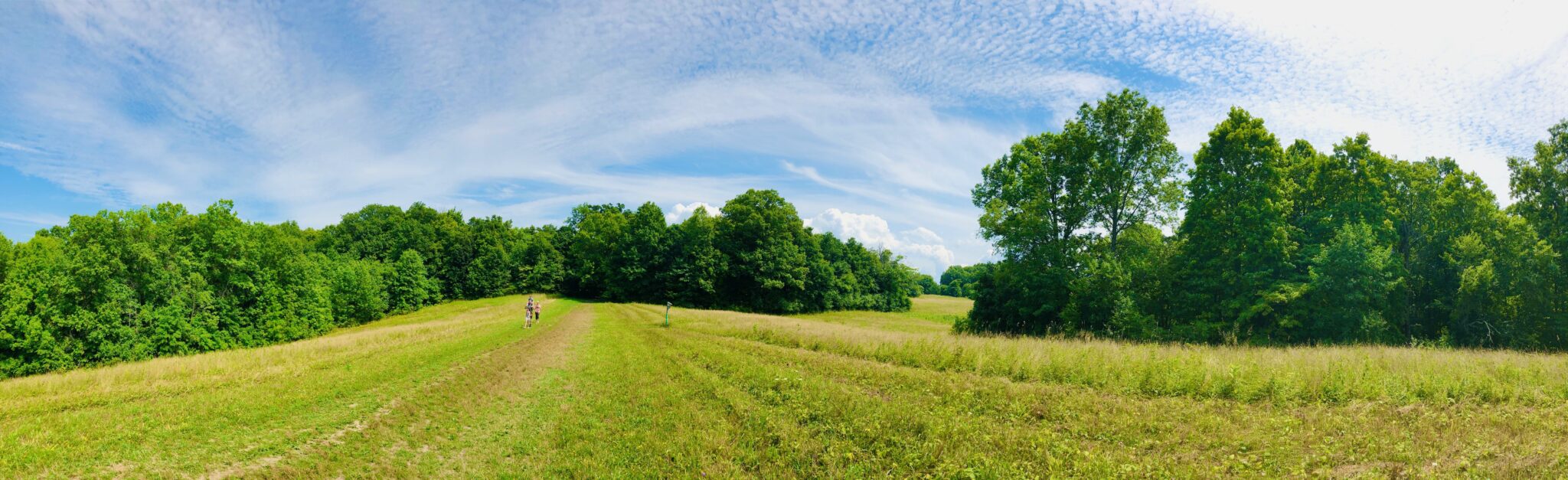 Poets’ Walk Park: Getting the Story Right - Scenic Hudson