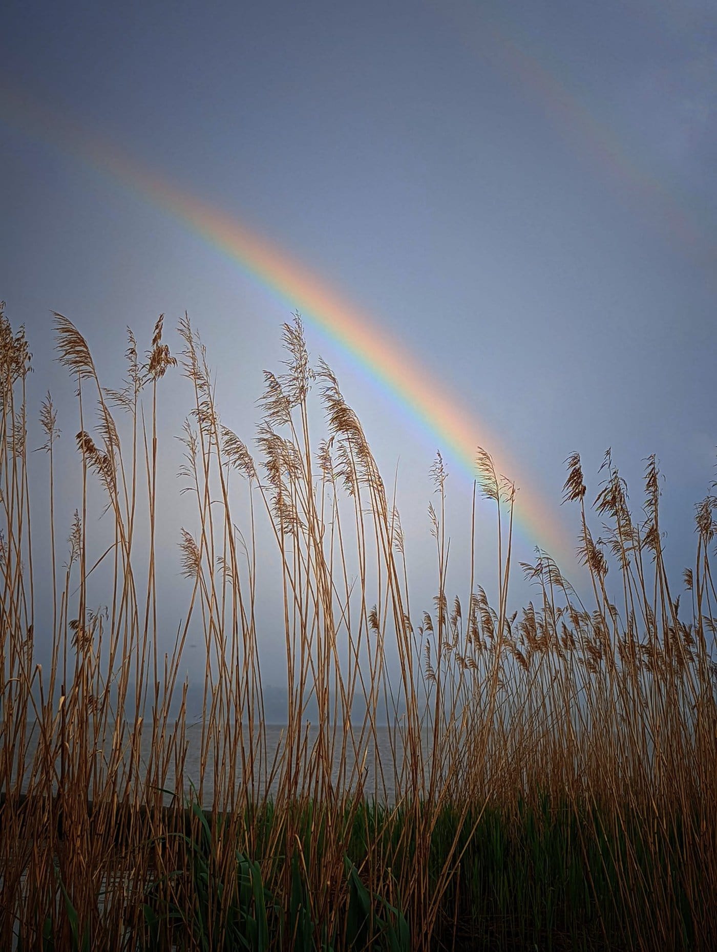 Chasing Rainbows in the Hudson Valley - Scenic Hudson