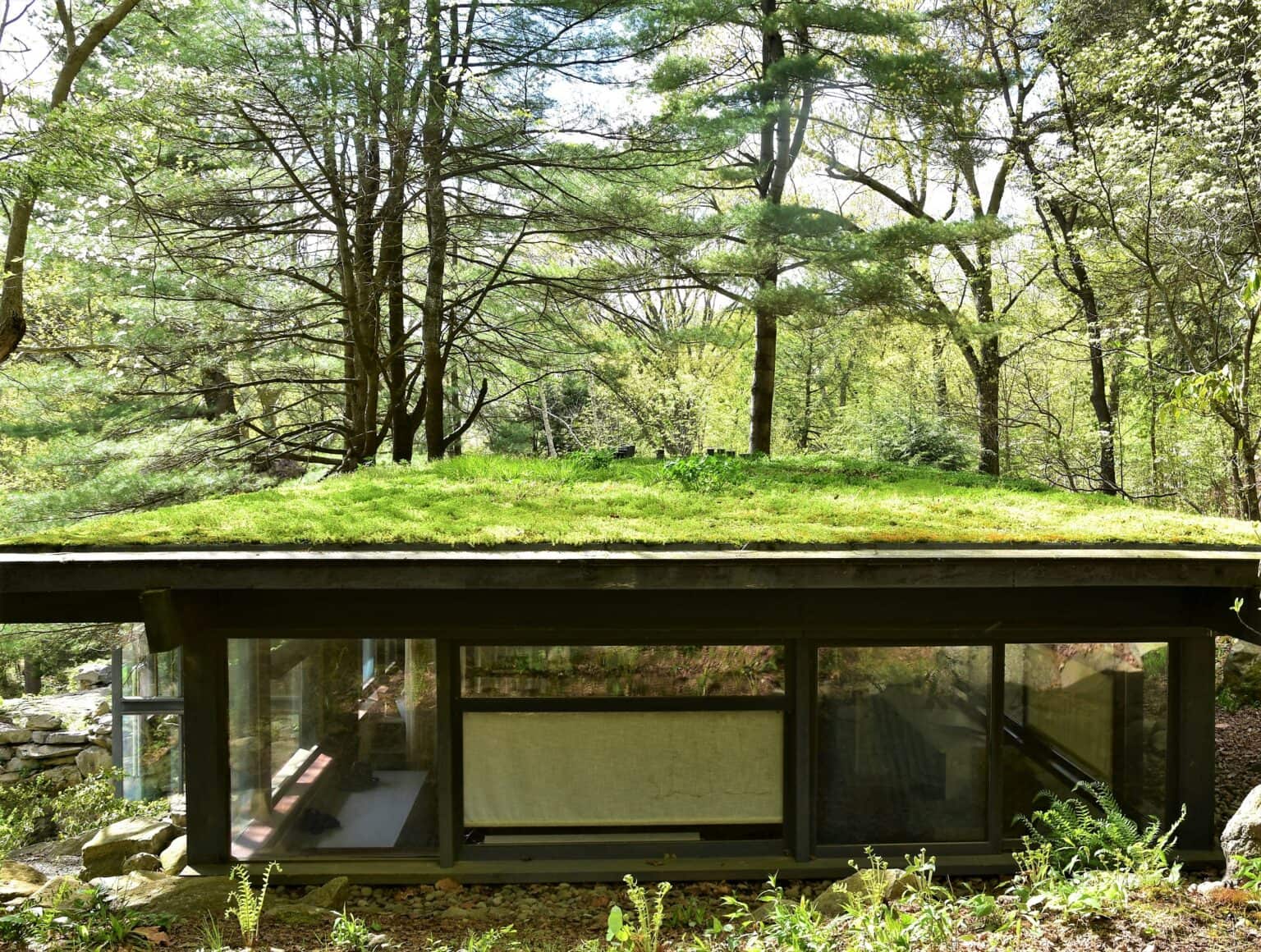 Cooling Green Roofs Turn Up Along the Hudson - Scenic Hudson
