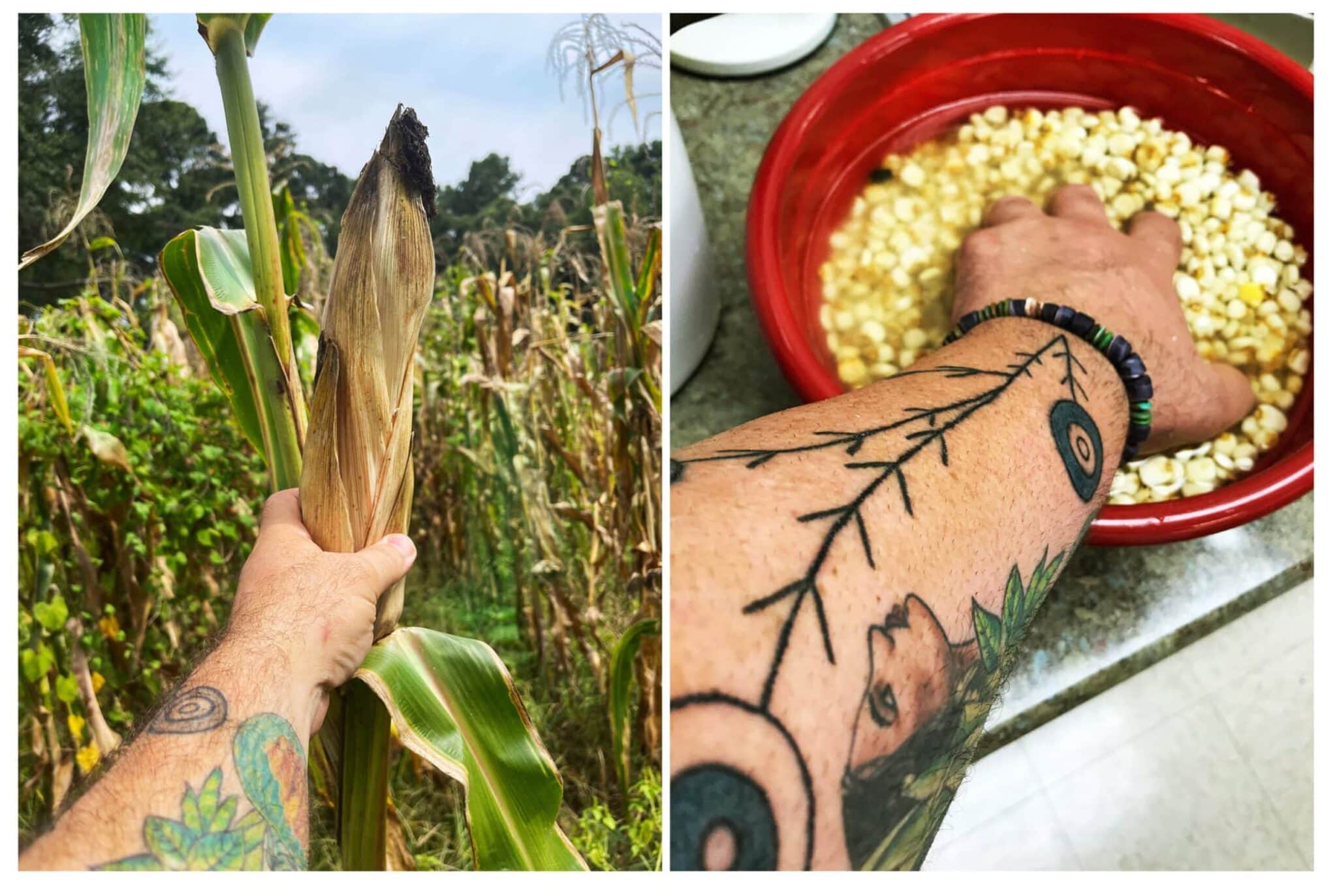 Take a Fresh Taste of Hominy, Corn Processed the Brilliant Indigenous ...