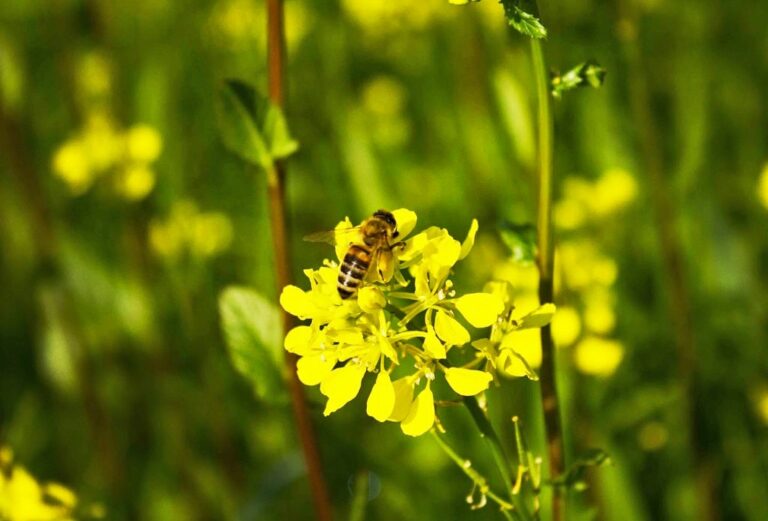 Home - Scenic Hudson