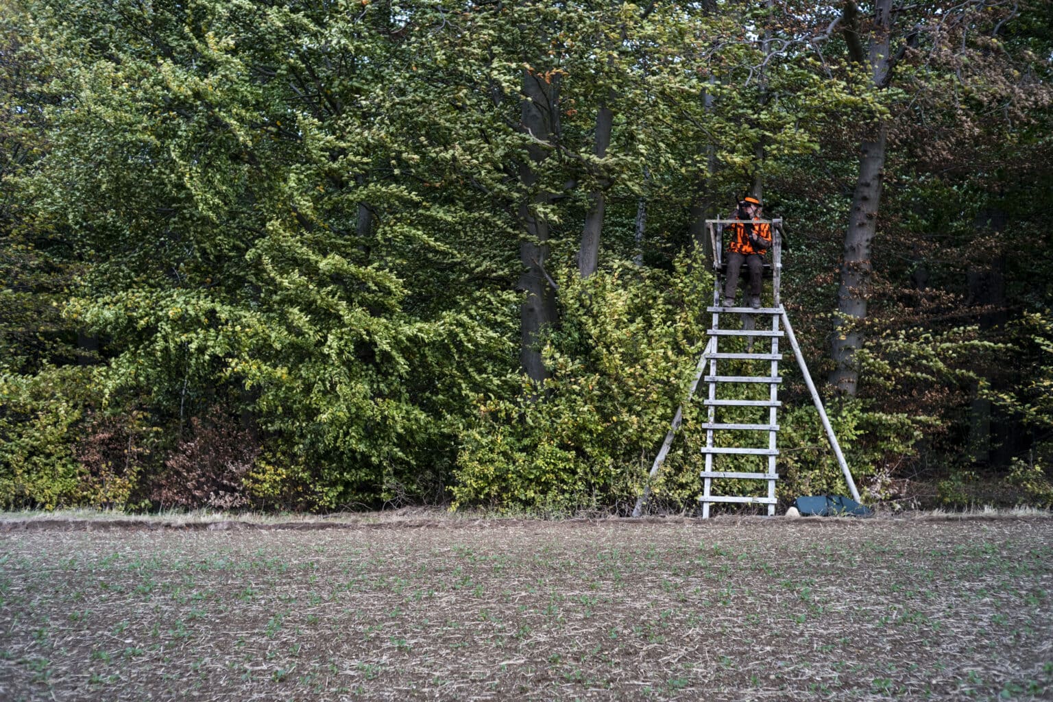 Protecting Forests by Managing the Exploding Deer Population - Scenic ...