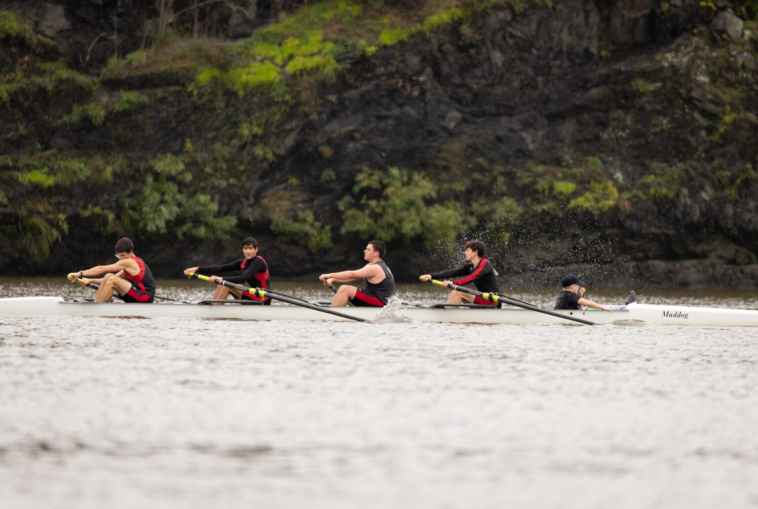 The Starry Poughkeepsie Regatta (and the Real-Life Boys in the Boat ...