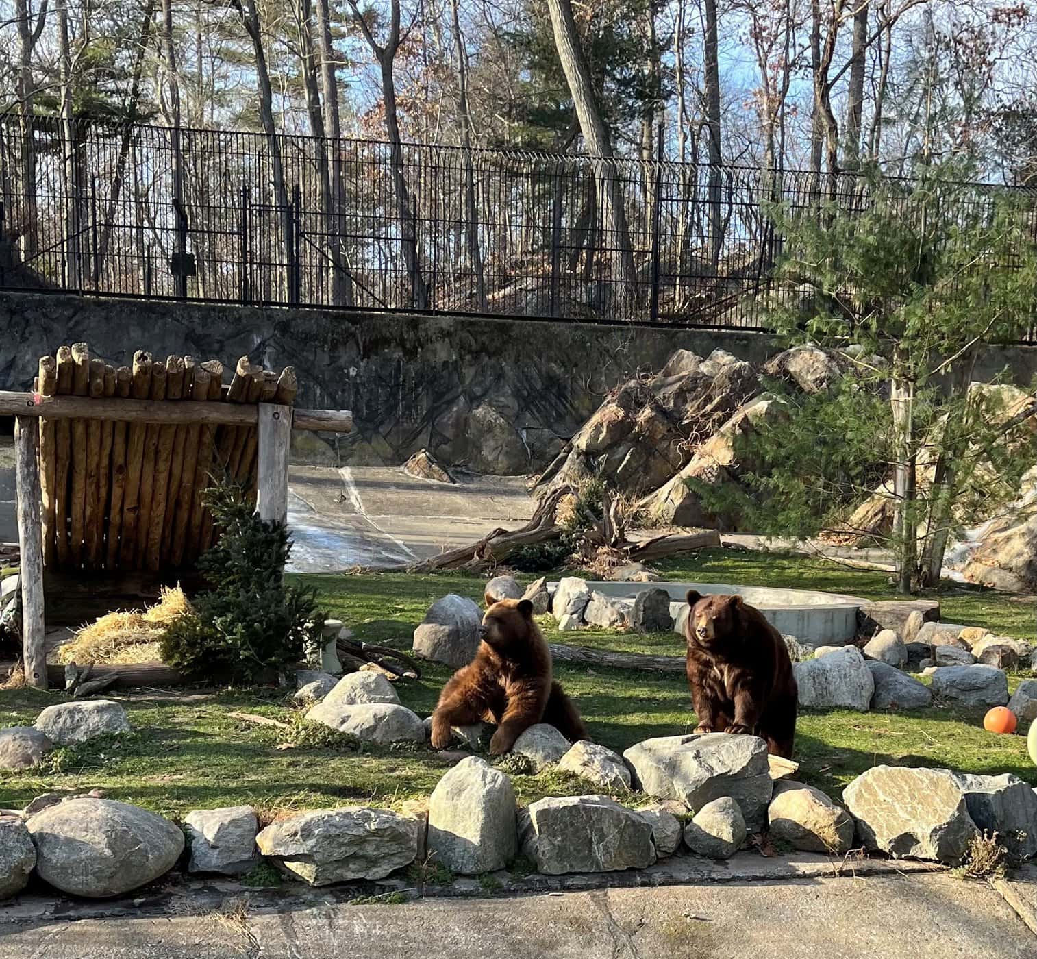 The Valley's Different Breed of Zoo - Scenic Hudson