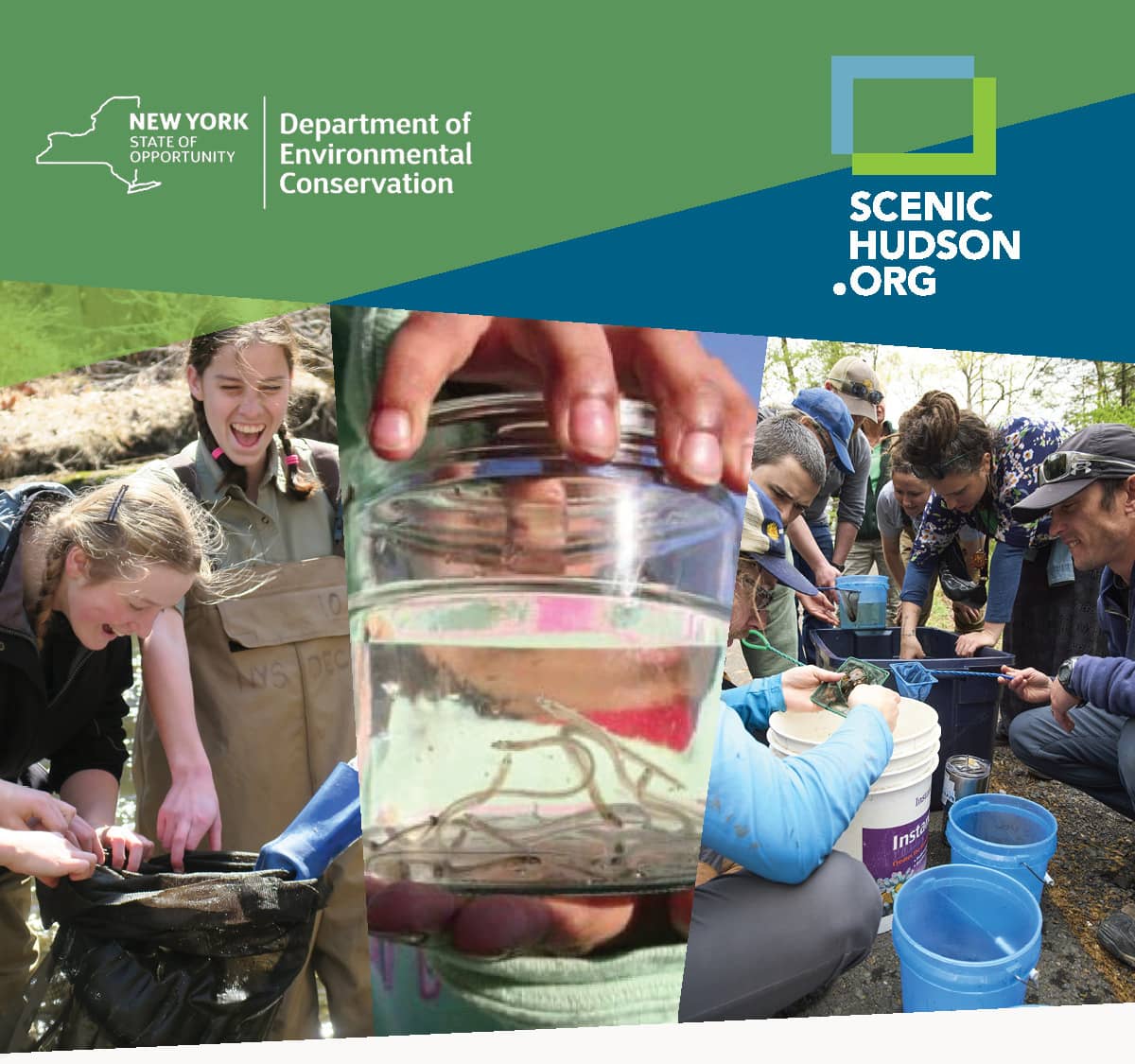 Hudson River Eel Project Info Session: Black Creek 2024 - Scenic Hudson