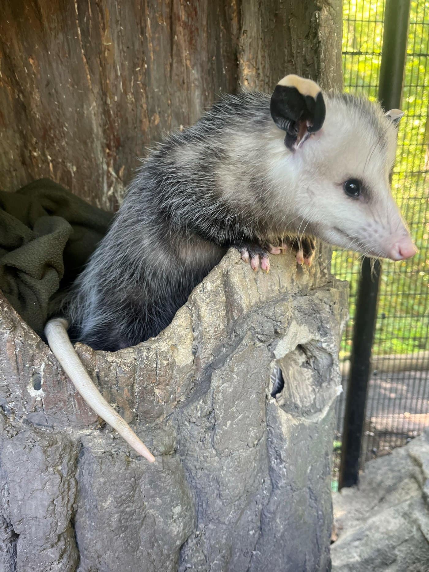 The Valley's Different Breed of Zoo - Scenic Hudson