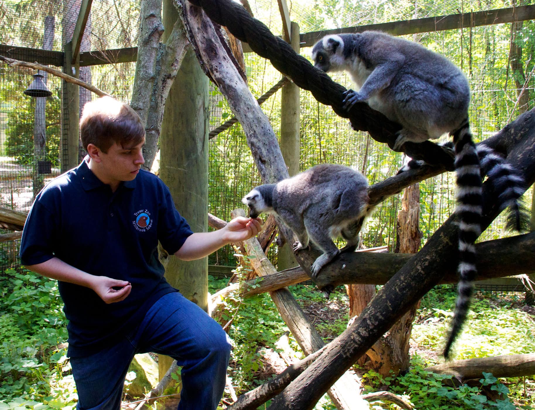 The Valley's Different Breed of Zoo - Scenic Hudson