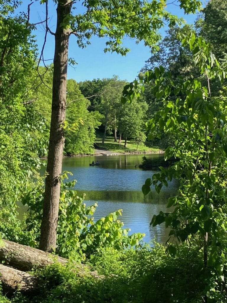 Balancing Clean-Water Needs Along the Lower Esopus Creek - Scenic Hudson