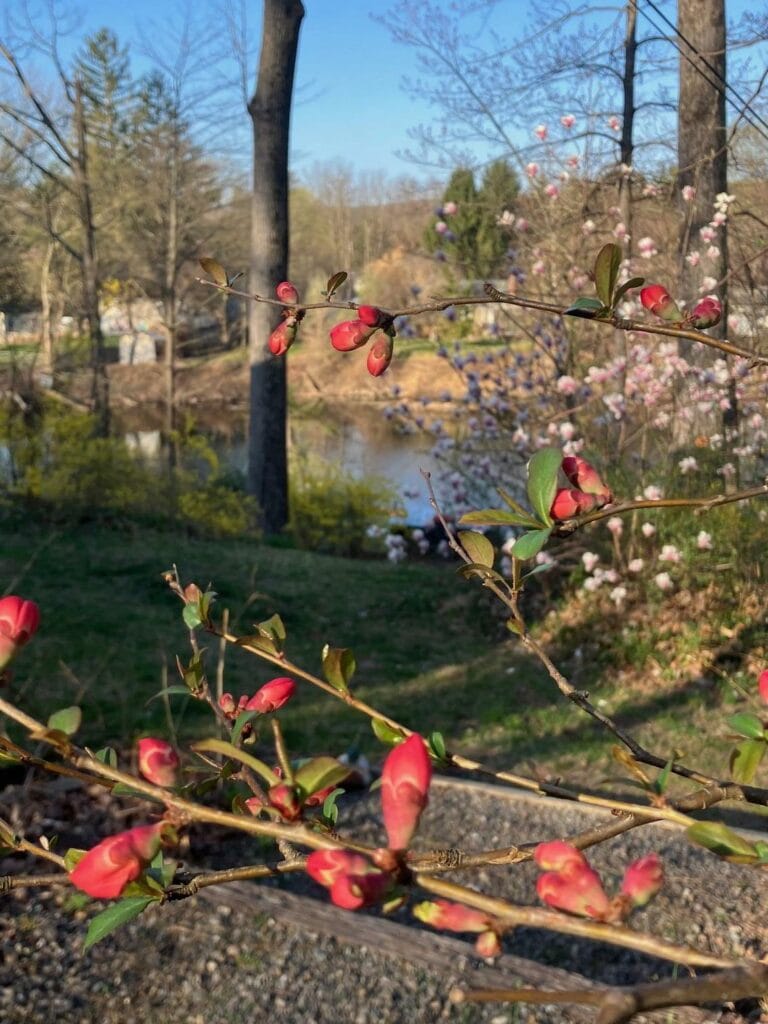 Balancing Clean-Water Needs Along the Lower Esopus Creek - Scenic Hudson