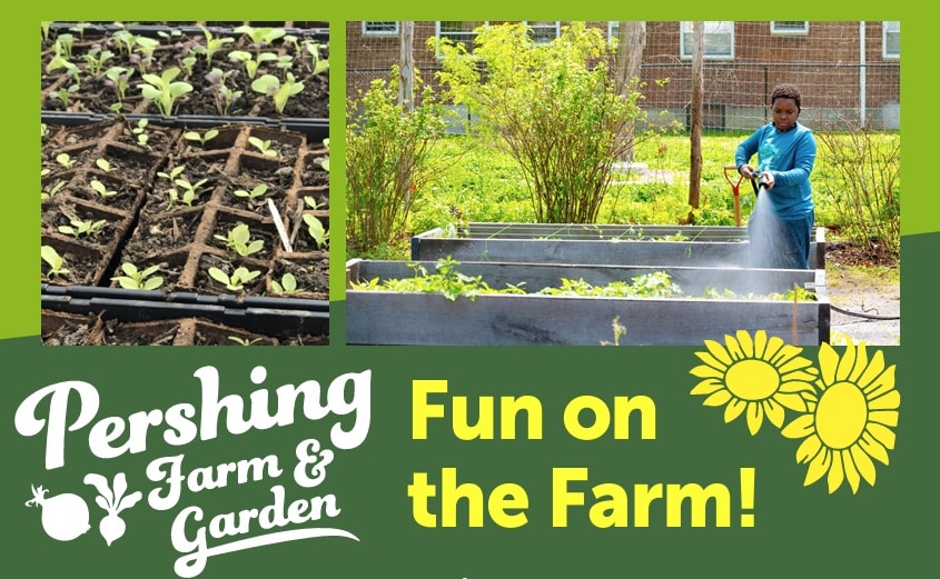 Fun on the Farm - Scenic Hudson