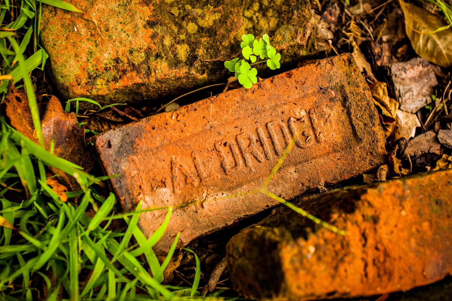 Not a Castle, Never a Mansion: Bannerman Island's Surprising Past ...