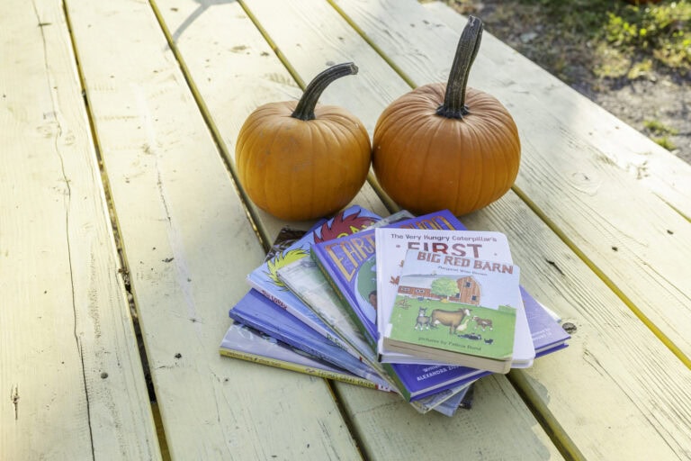 Updates and Messages from Scenic Hudson President Ned Sullivan - Scenic ...