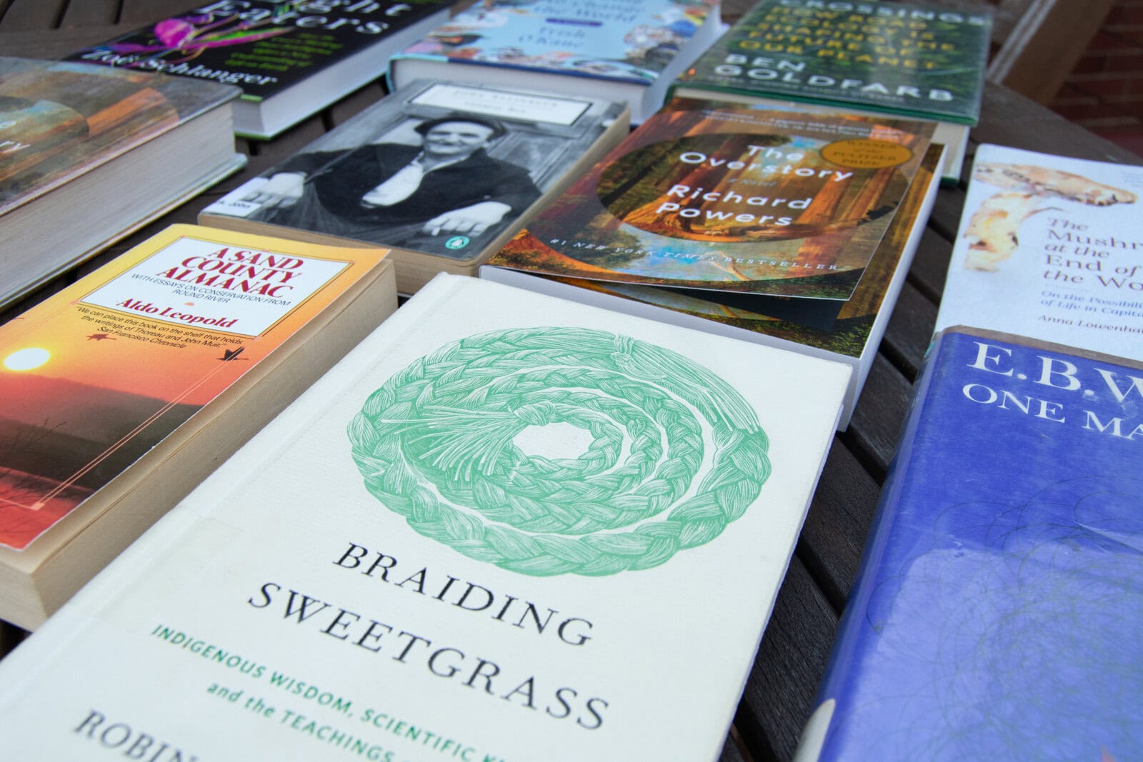 The Best Nature-Focused Novels and Nonfiction Books - Scenic Hudson