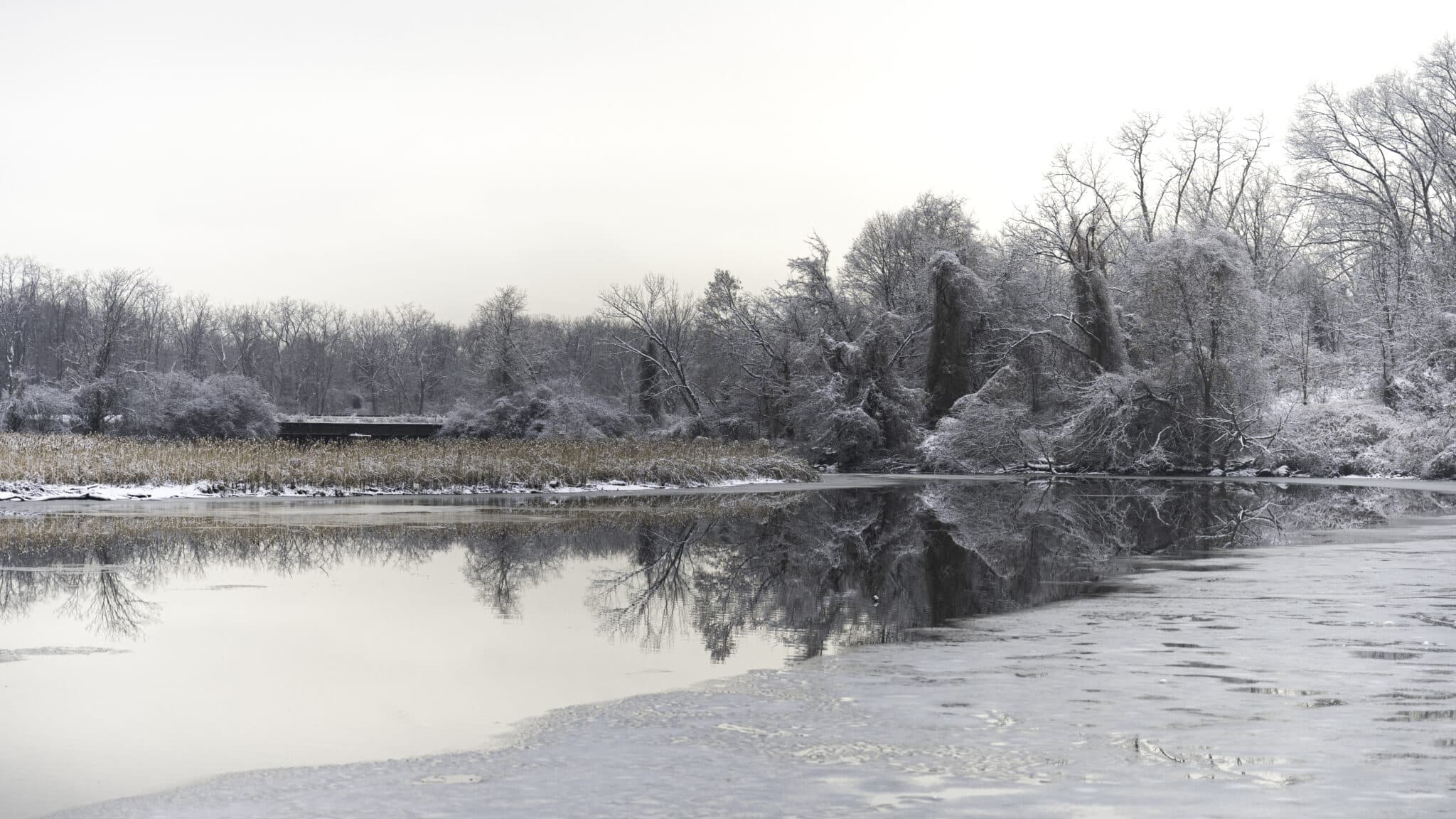 The Secret Lives of Wetlands in Wintertime - Scenic Hudson