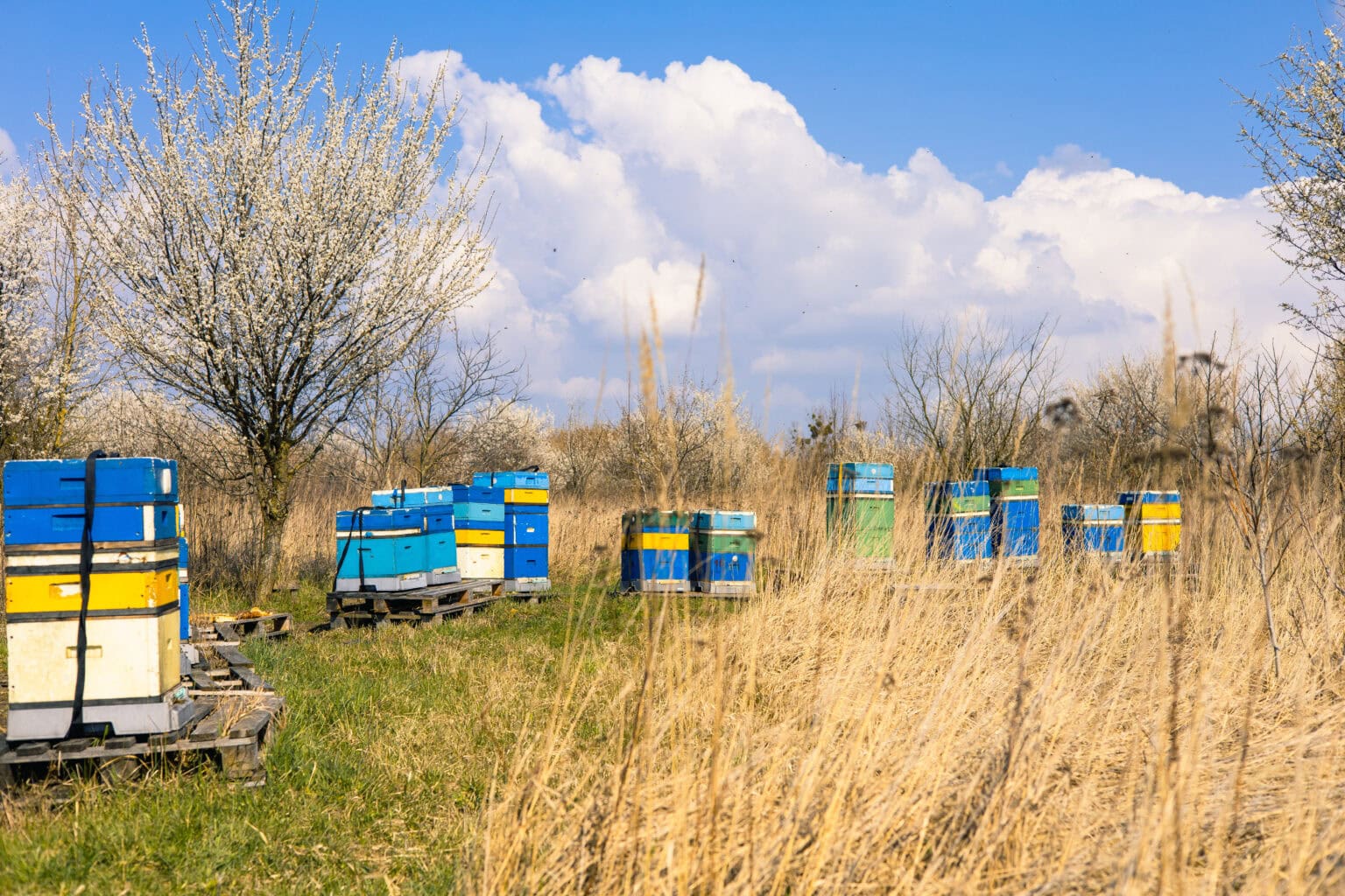 10 Top Fall-Foliage Hot Spots in the Hudson Valley - Scenic Hudson