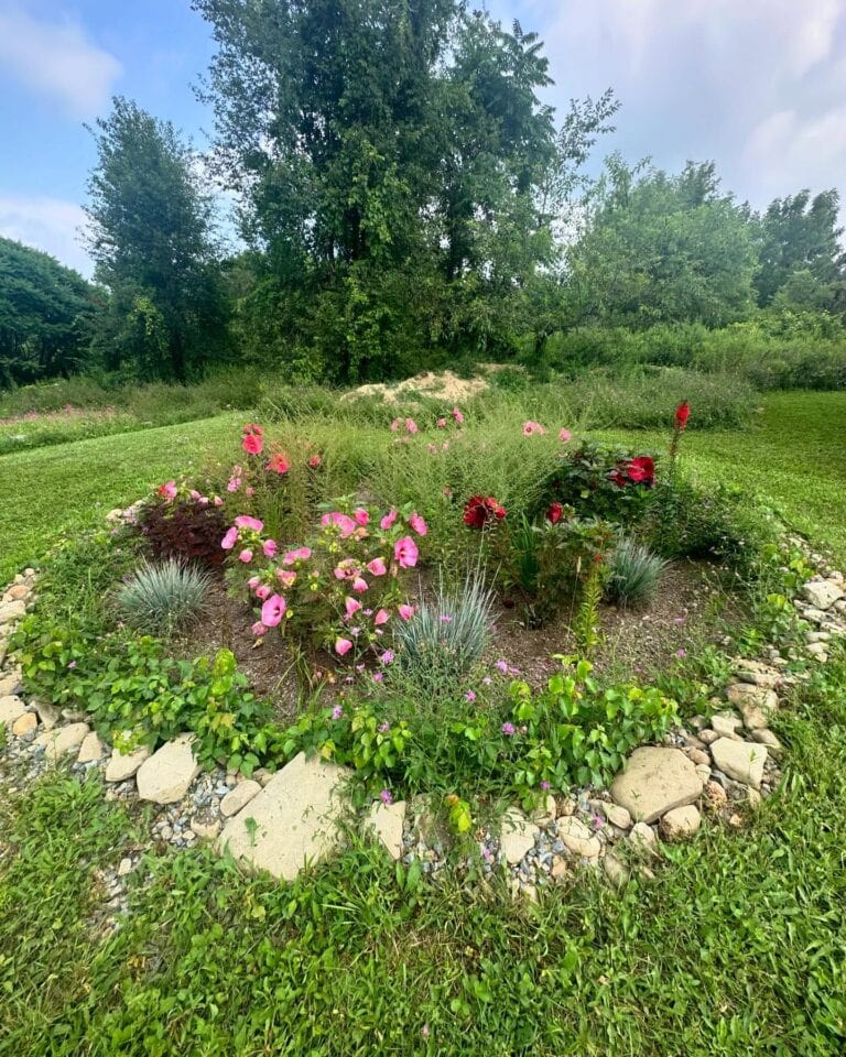 The Sustainable, Beautiful Benefits of a Rain Garden - Scenic Hudson
