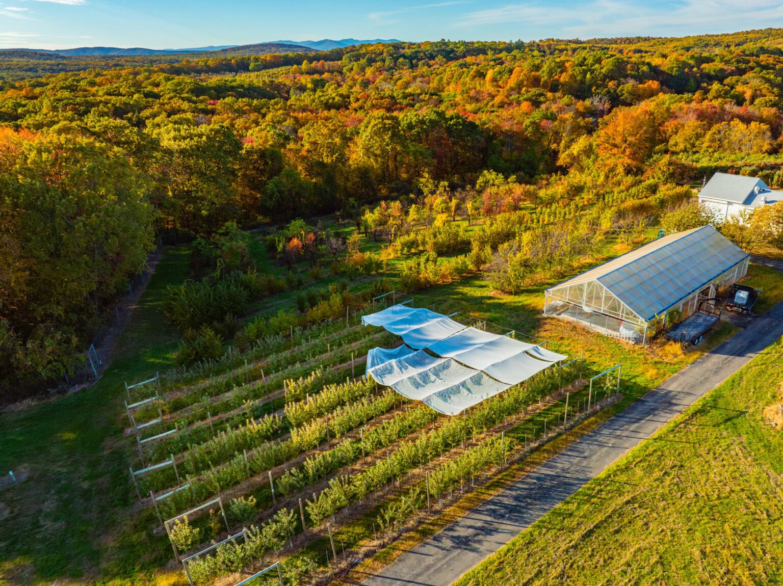 Discovering Solar's Shading Potential on Valley Farms - Scenic Hudson
